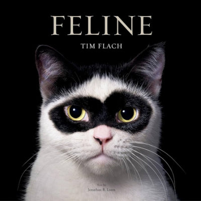 Feline - Tom Flach - Happy Valley